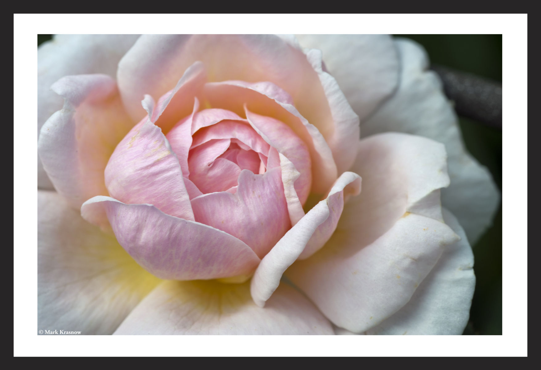 Home - artprintsforhomeandoffice.com - Original and Vintage Photography